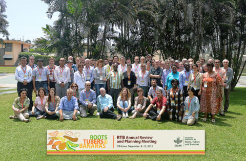 A year in review: Highlights from the RTB annual meeting