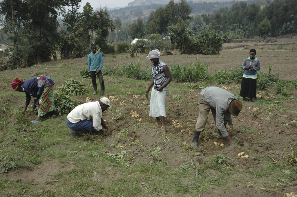 Taking a farmer-centric approach to Integrated Pest Management Taking a farmer-centric approach to Integrated Pest Management