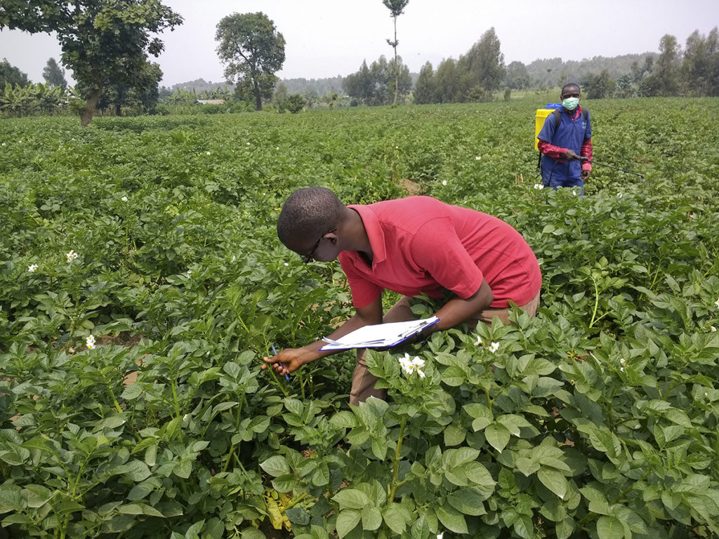 Taking a farmer-centric approach to Integrated Pest Management Taking a farmer-centric approach to Integrated Pest Management