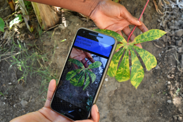 Revolutionary Mobile App For Monitoring Crop Pests And Diseases