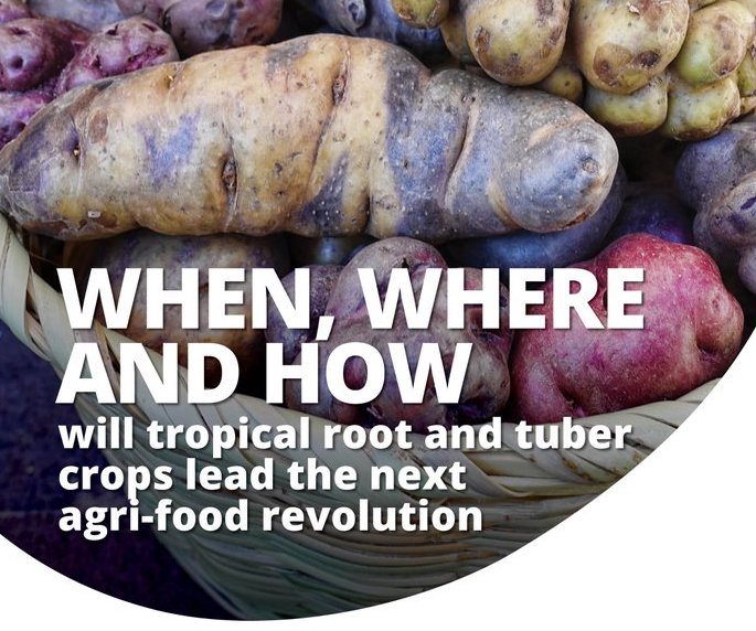 An agri-food revolution for tropical root and tuber crops
