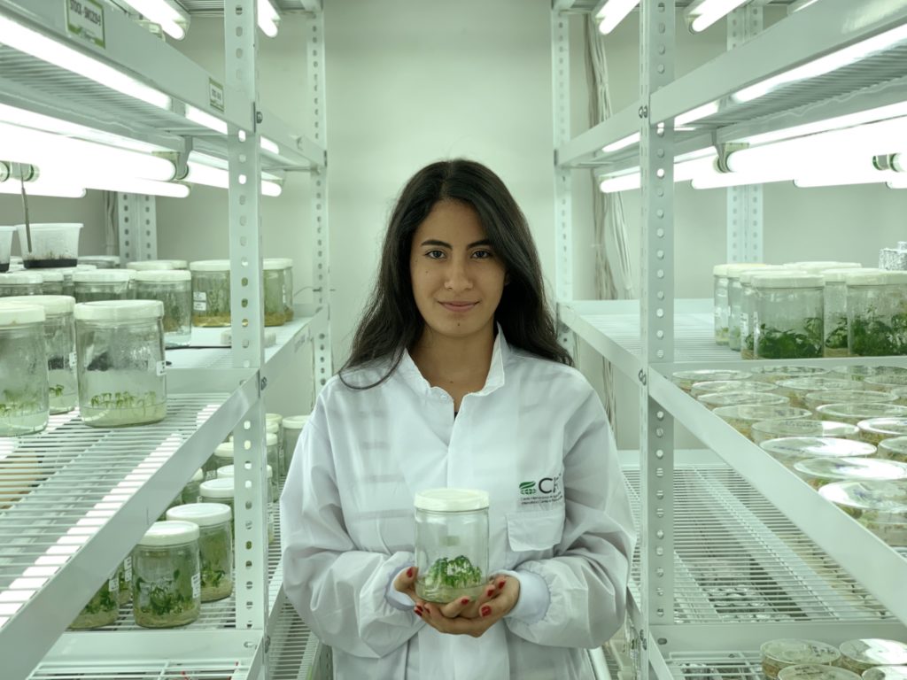 Women Scientists Women In Science: New Lights And Old Shadows
