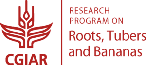 Home - CGIAR Research Program on Roots, Tubers and Bananas
