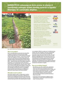 HARVESTPLUS enhancing on-farm access to vitamin A sweetpotato pathogen ...