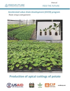 Production of apical cuttings of potato - CGIAR Research Program on ...