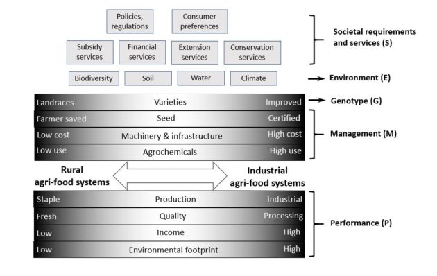 The Potato of the Future: Opportunities and Challenges in Sustainable ...