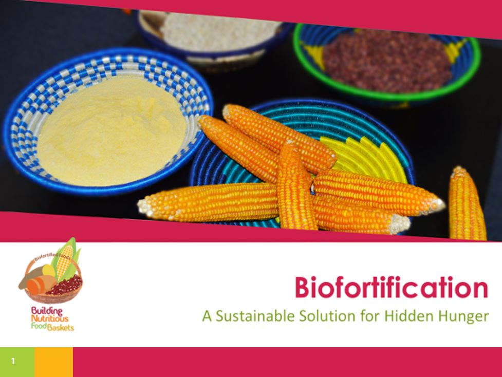 Training of trainers (ToT) module on biofortification: A sustainable ...